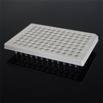 0.2ml 96-Well PCR Plate for Efficient PCR Testing | Biowetec